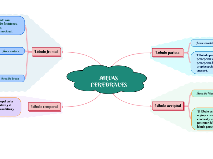 AREAS CEREBRALES - Mind Map